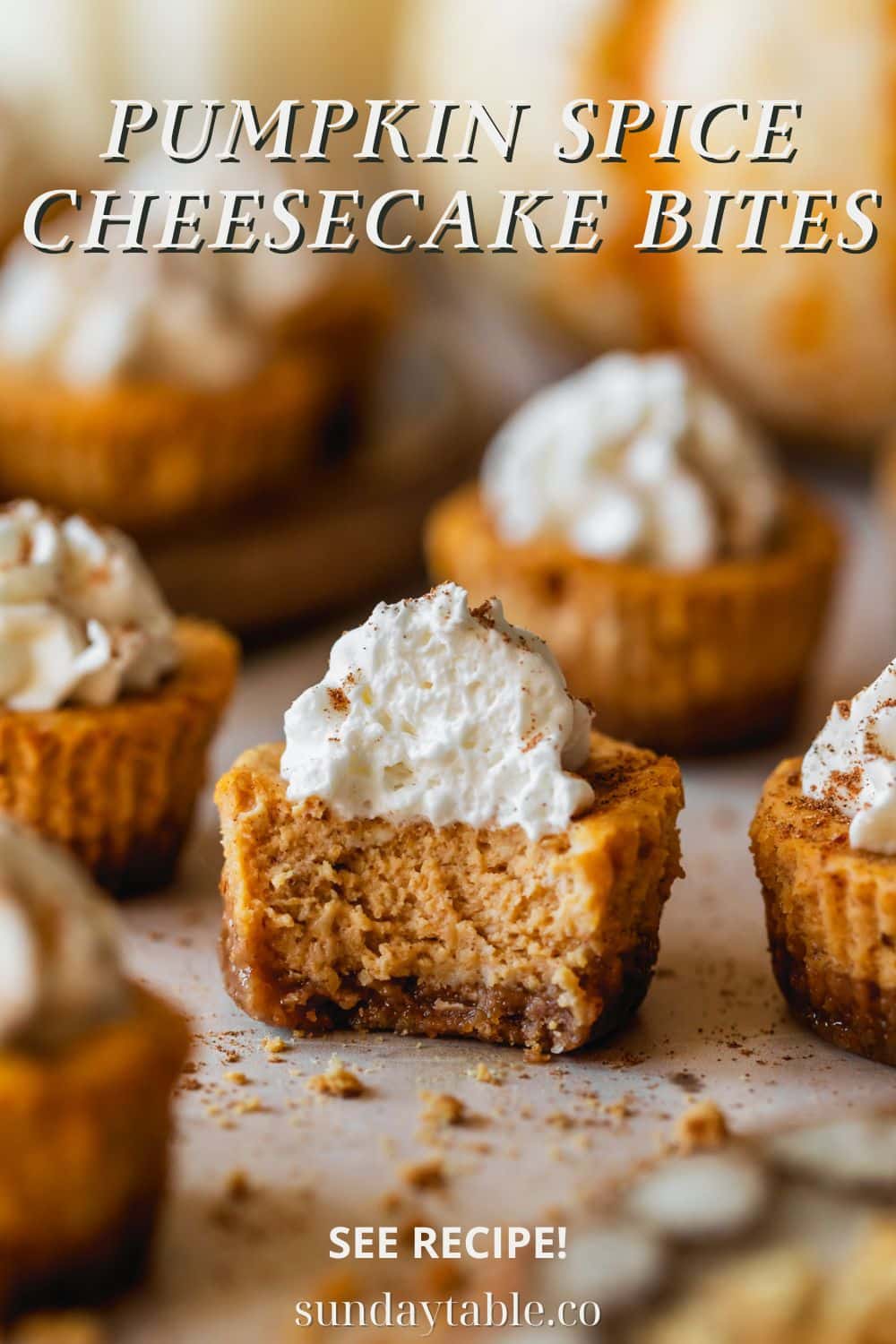 Little Pumpkin Spice Cheesecake Bites Sunday Table